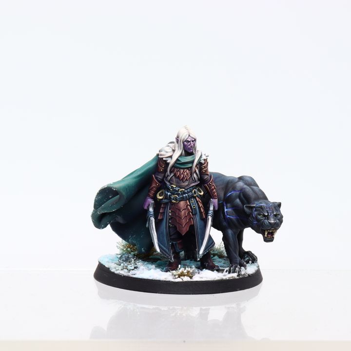 3D Printable [PDF Only] (Painting Guide) Drow Ranger (+ Black Panther) by Bite the Bullet